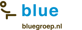 Blue Group - Organisatiesysteem